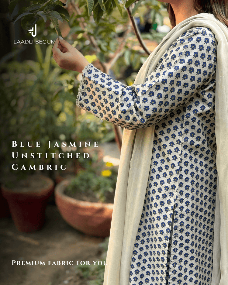 Laadli Begum: Traditional Elegance & Contemporary Style – LaadliBegum